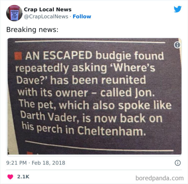 This Twitter Account Posts The Internet’s “Craziest Headlines”, And ...