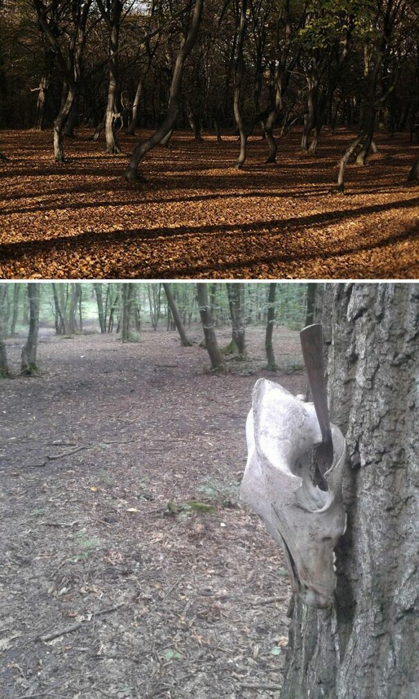 20 Of The Creepiest Travel Destinations For Thrill-Seekers | DeMilked