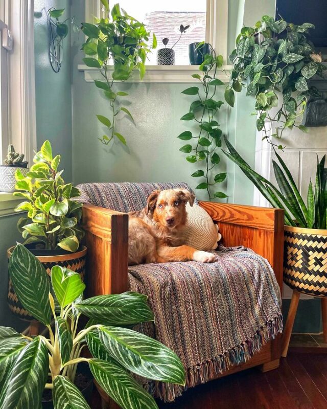 30 Pics From An Online Group Dedicated To Appreciating Female Living ...