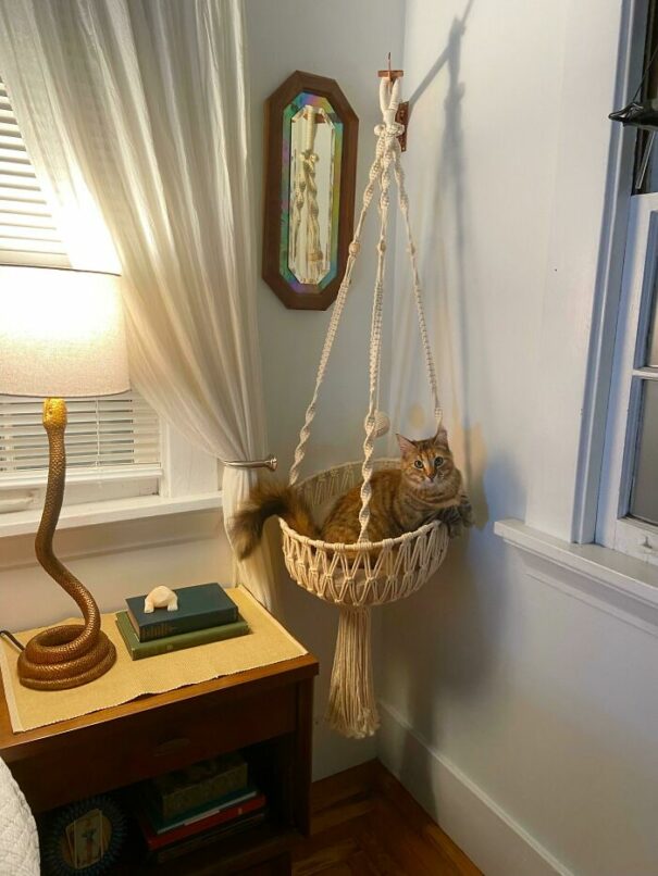 30 Pics From An Online Group Dedicated To Appreciating Female Living ...