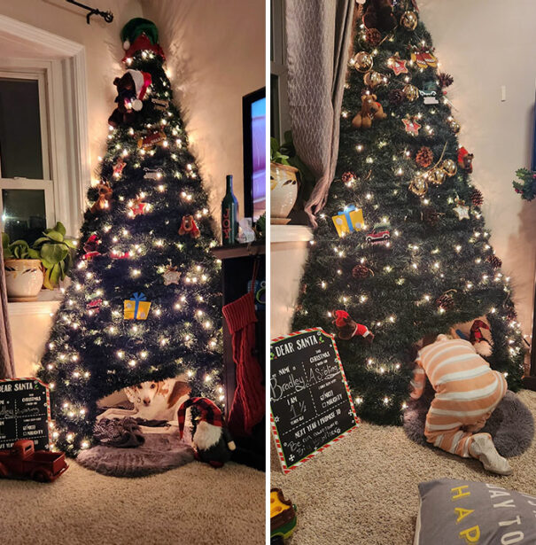 30 Of The Most Creative Christmas Trees Of The Season | DeMilked