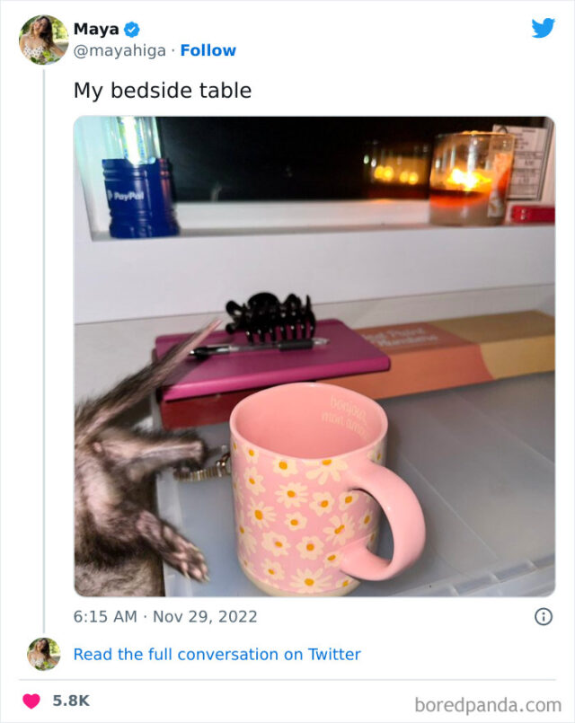 20 Memes Roasting Elon Musk And His Bizarre Bedside Table | DeMilked