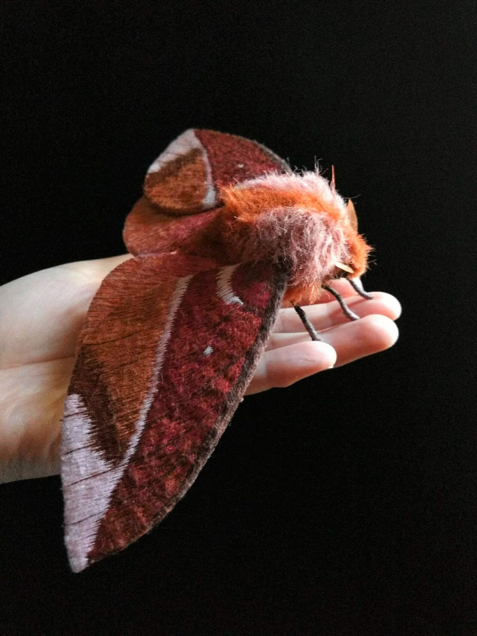 This Artist Creates Fiber Moths With Detailed Colorful Wings (15 Pics ...