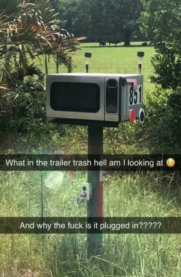 ‘DiWHY’: People In This Online Community Are Sharing Their Hilarious ...