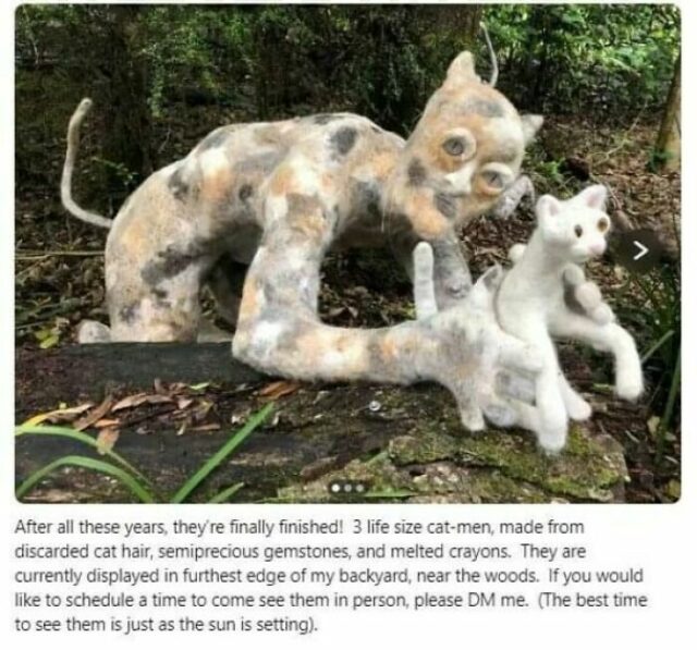 ‘DiWHY’: People In This Online Community Are Sharing Their Hilarious ...