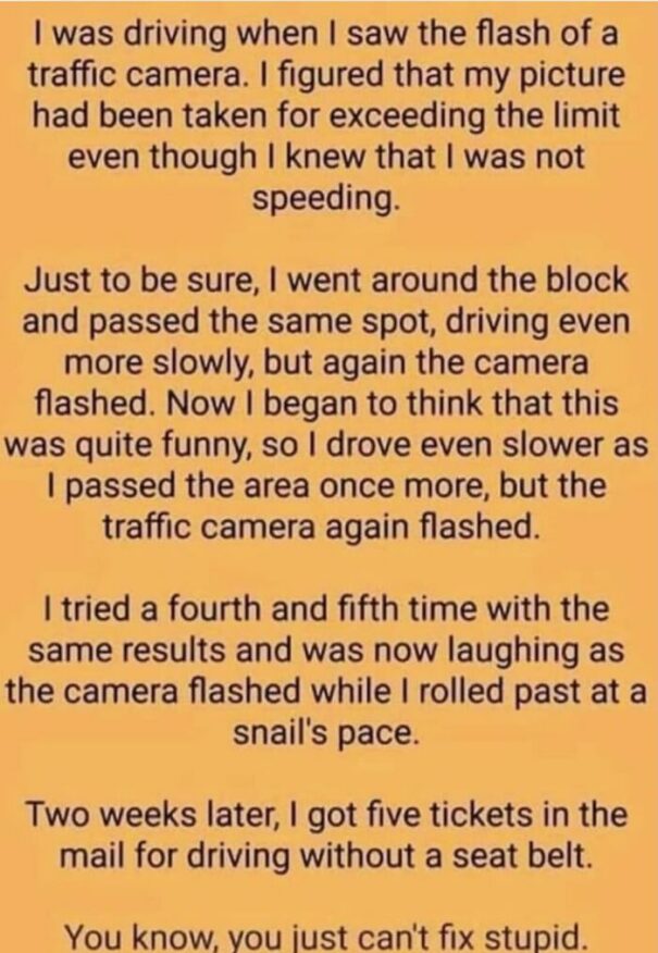 30 Pics That Really Describe “Middle Aged Humor” | DeMilked