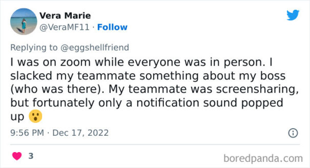 20 Funny Fails Spotted On Zoom Calls, As Shared In This Twitter Thread ...