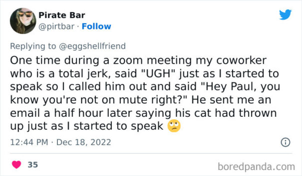 20 Funny Fails Spotted On Zoom Calls, As Shared In This Twitter Thread ...