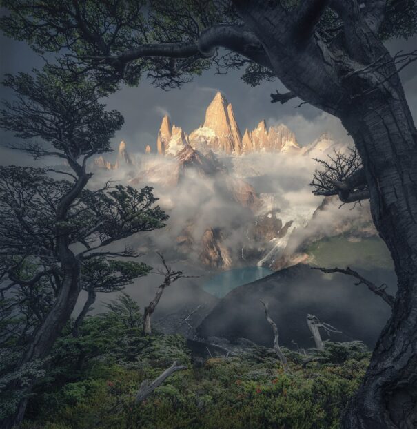 20 Mesmerising Photos That Won The International Landscape Photographer ...
