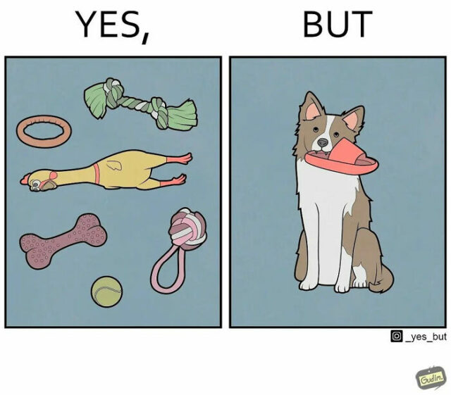 20 Ironic Comics By Artist About Everyday Life | DeMilked