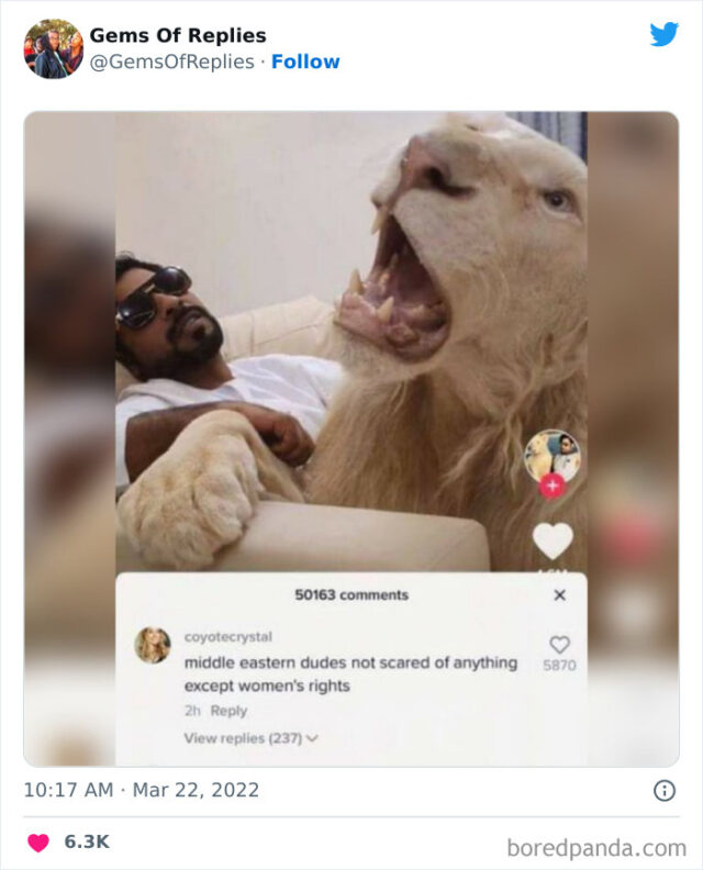 20 Savage Replies From Twitter Users, As Collected And Shared By This ...