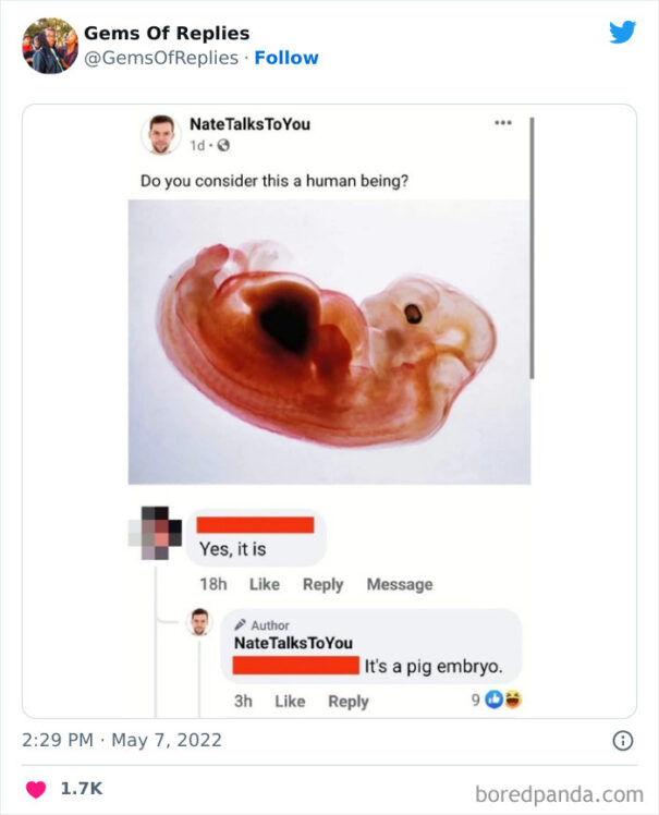 20 Savage Replies From Twitter Users, As Collected And Shared By This ...