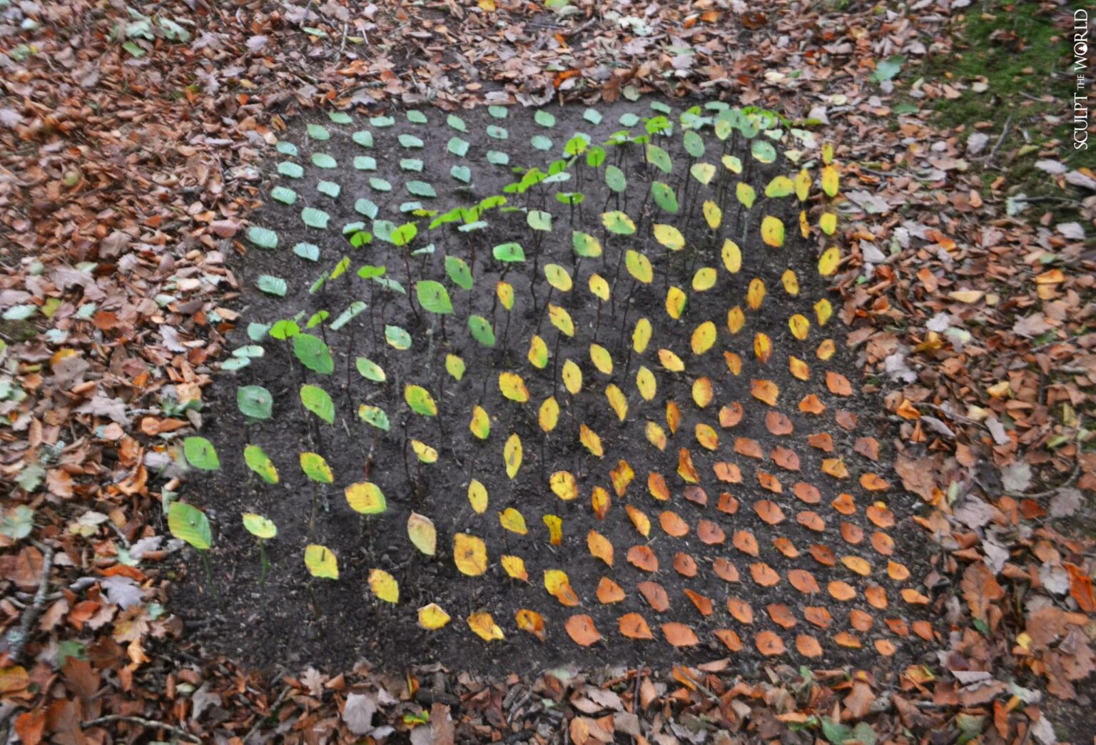15 Striking Autumn Leaves Arrangement By Land Artist Jon Foreman | DeMilked