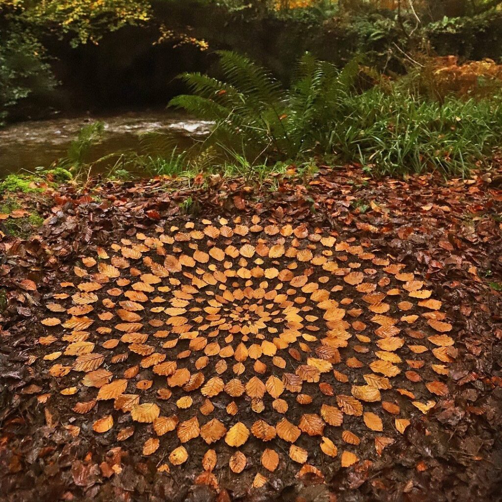 15 Striking Autumn Leaves Arrangement By Land Artist Jon Foreman | DeMilked