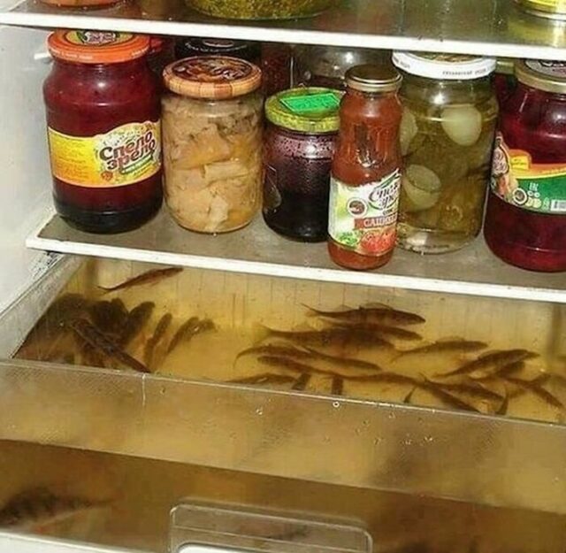 20 People Are Sharing Weird Fridge Interiors, And Here Are 20 Of The ...