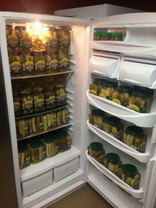 20 People Are Sharing Weird Fridge Interiors, And Here Are 20 Of The ...