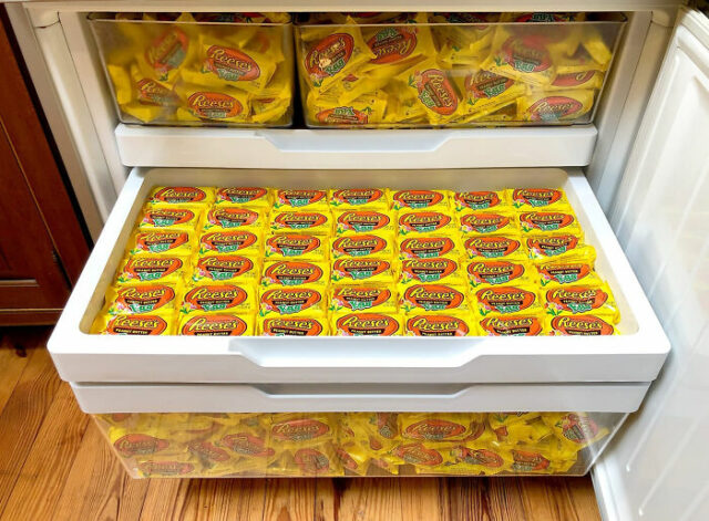 20 People Are Sharing Weird Fridge Interiors, And Here Are 20 Of The ...