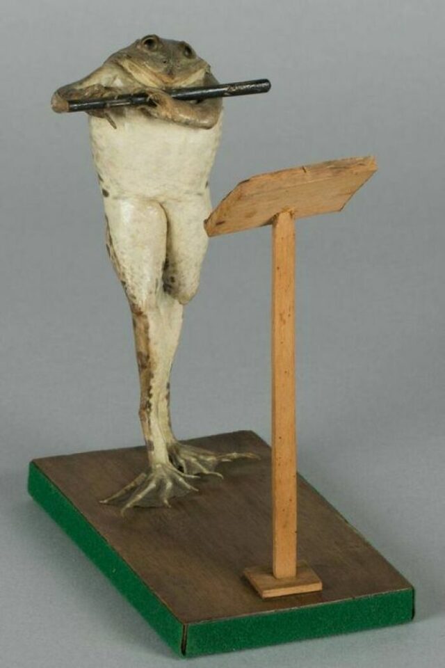20 Funny Examples Of Taxidermy Gone Horrifically Wrong | DeMilked