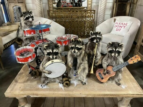 20 Funny Examples Of Taxidermy Gone Horrifically Wrong | DeMilked