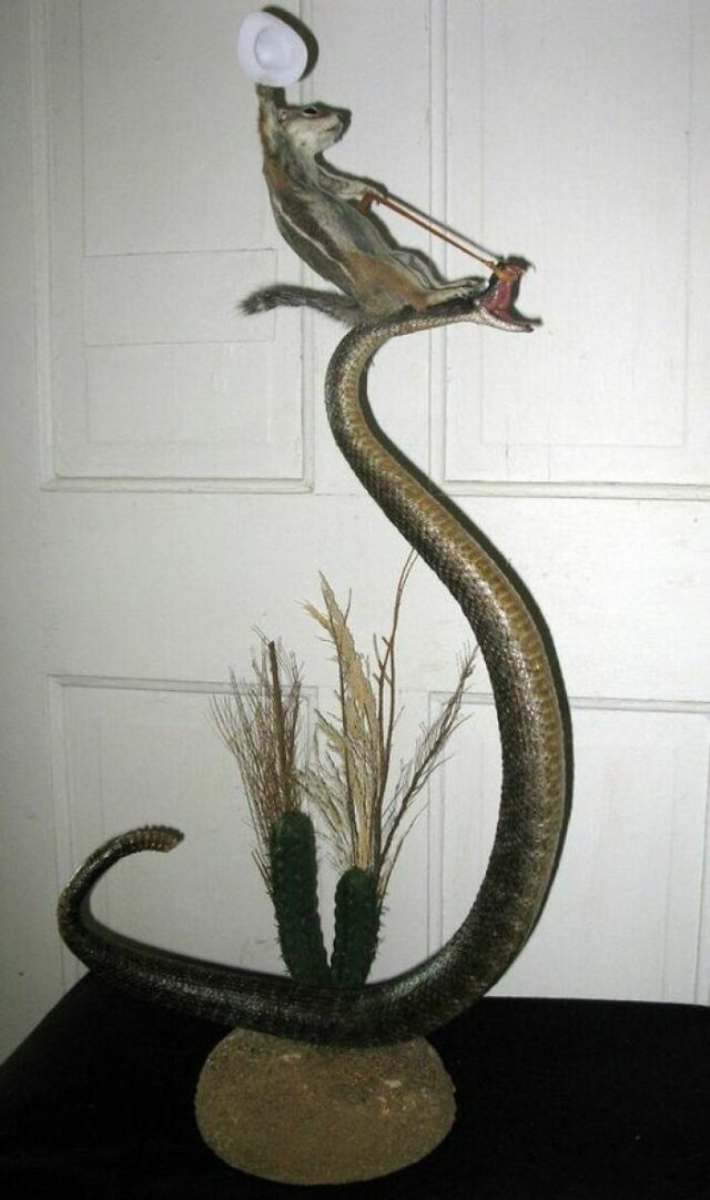 20 Funny Examples Of Taxidermy Gone Horrifically Wrong | DeMilked
