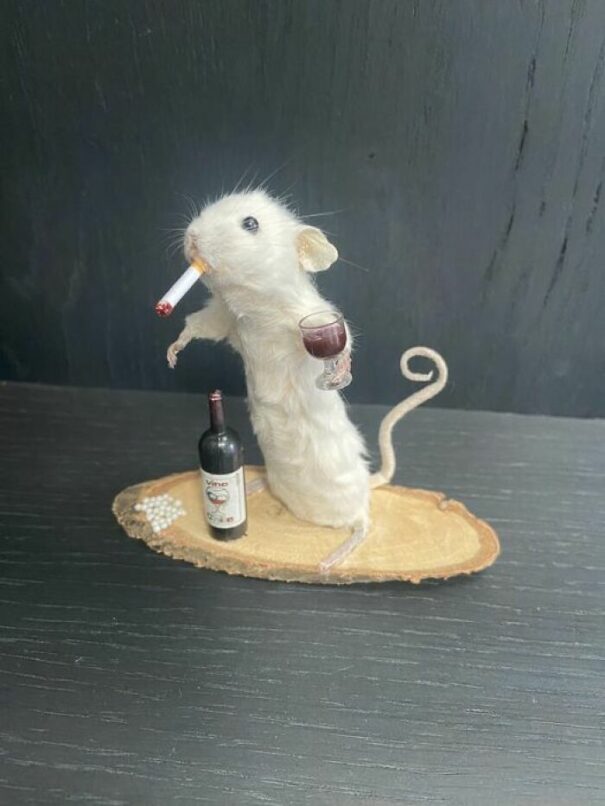 20 Funny Examples Of Taxidermy Gone Horrifically Wrong | DeMilked