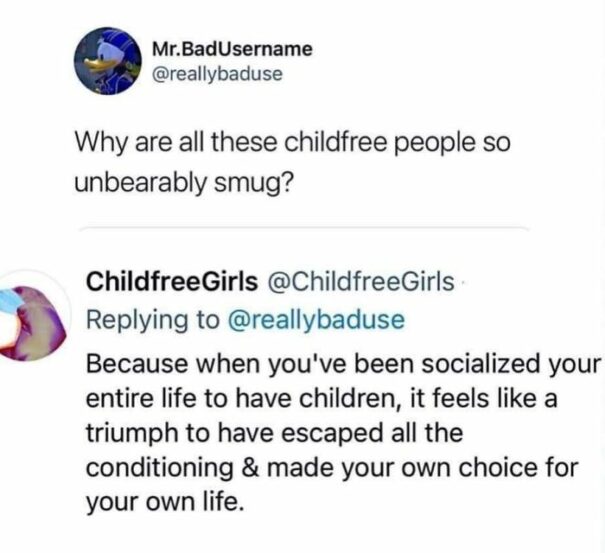30 Awesome Memes For People Who Don’t Regret Their Childfree Lifestyle ...
