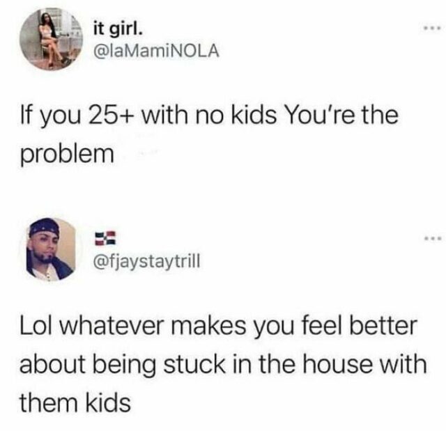 30 Awesome Memes For People Who Don’t Regret Their Childfree Lifestyle ...