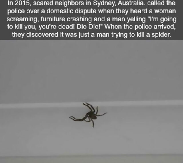 15 Creepy Real-Life Facts That Might Send A Shiver Down Your Spine ...