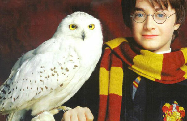 20 Unexpected Fictional Character Deaths We Still Can’t Seem To Get ...