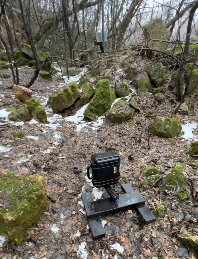 Photographer Sets Up His DIY Camera Trap In The Forest And Captures ...