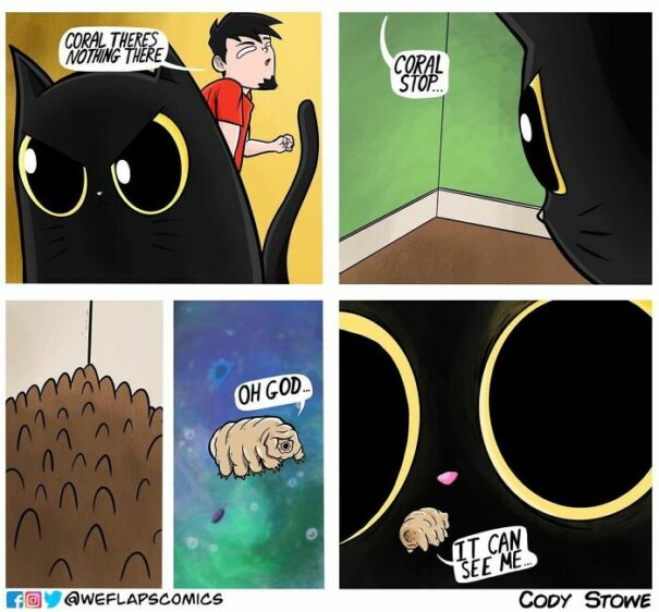 Artist Illustrates His Life With A Cat (20 Comics) | DeMilked