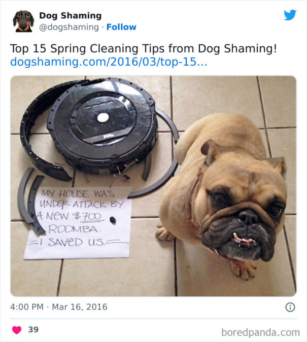 20 Of The Most Adorable Dog-Shaming Posts From This Twitter Page | DeMilked