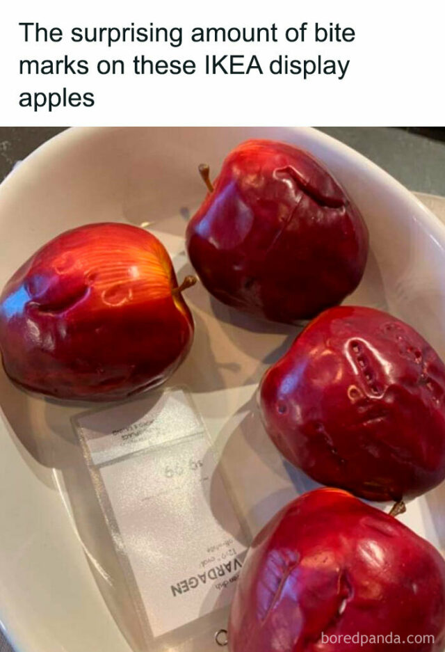 20 Times People Shared Weird And Funny Experiences Of IKEA | DeMilked