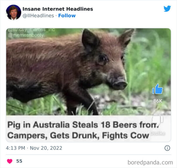 30 Of The Craziest Headlines Spotted Online, As Shared By This Twitter ...