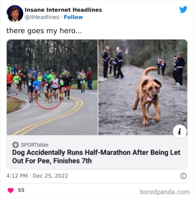 30 Of The Craziest Headlines Spotted Online, As Shared By This Twitter ...