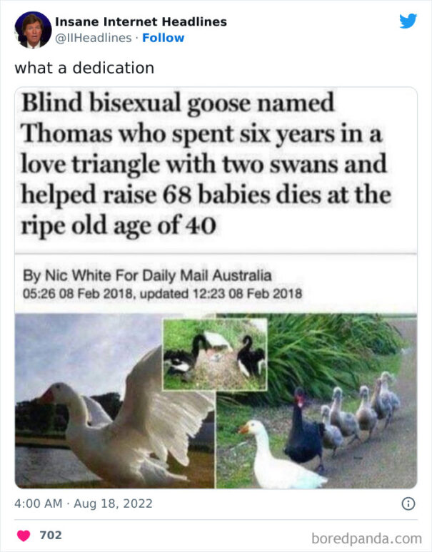 30 Of The Craziest Headlines Spotted Online, As Shared By This Twitter ...