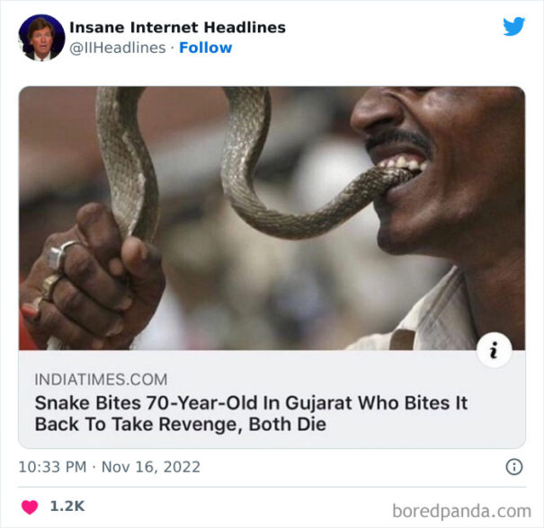 30 Of The Craziest Headlines Spotted Online, As Shared By This Twitter ...