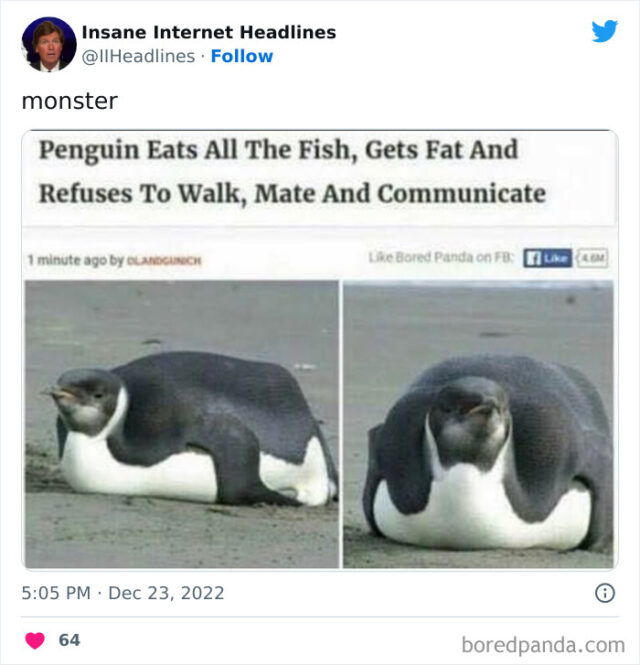 30 Of The Craziest Headlines Spotted Online, As Shared By This Twitter ...