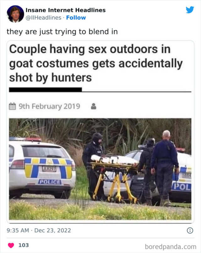 30 Of The Craziest Headlines Spotted Online, As Shared By This Twitter ...