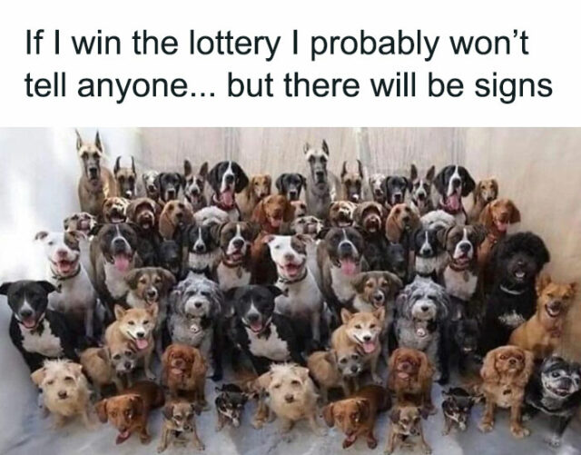 These 30 Hilarious Memes From The “Female Problems” FB Group Are Spot ...