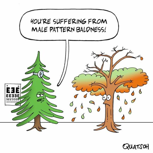 20 Single-Panel Comics With Funny Punchlines, As Illustrated By This ...