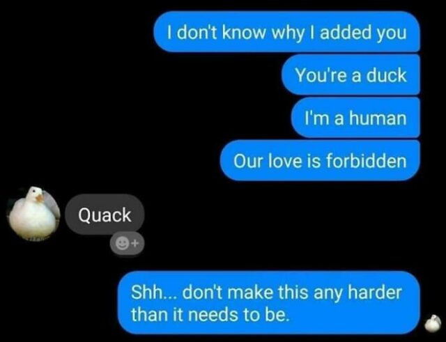 30 People Shared The Screenshots Of Funniest Conversations They Spotted ...