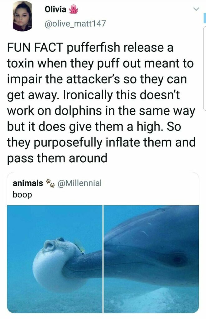30 People Shared The Screenshots Of Funniest Conversations They Spotted ...