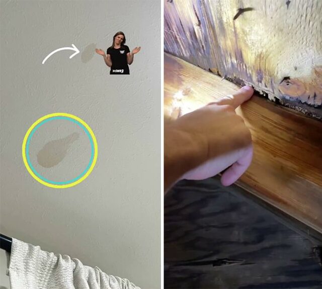 20 Stills From Woman’s "Welcome To My Horribly Flipped House" Viral ...
