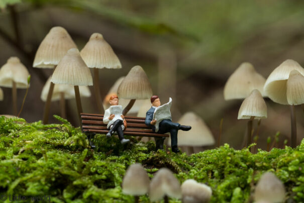 20 Photos Of Beautiful Miniature World Creations (20 Pics) | DeMilked
