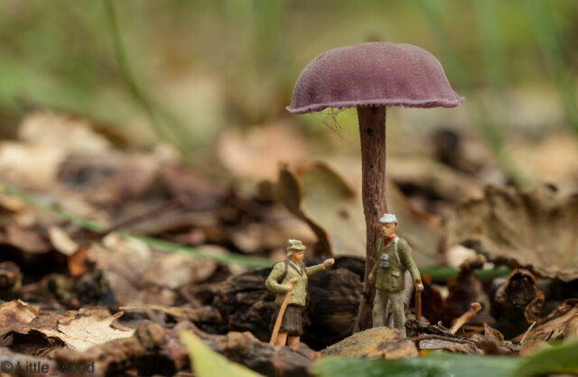 20 Photos Of Beautiful Miniature World Creations (20 Pics) | DeMilked