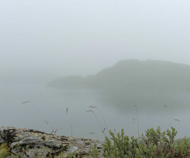 20 Unusual Things Seafarers Experienced Around Oceans | DeMilked