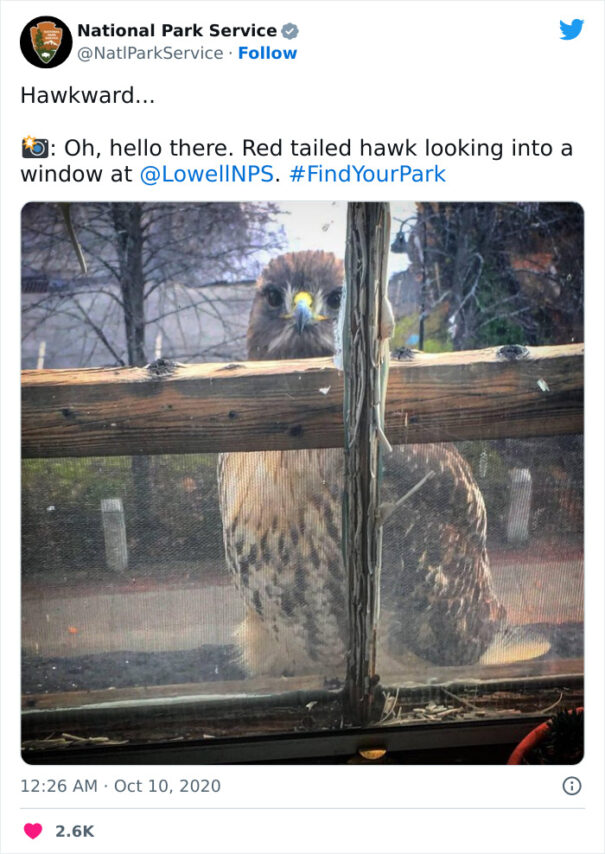 20 Hilarious Tweets From The Viral National Park Service Twitter Account | DeMilked