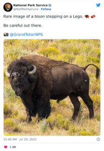 20 Hilarious Tweets From The Viral National Park Service Twitter ...