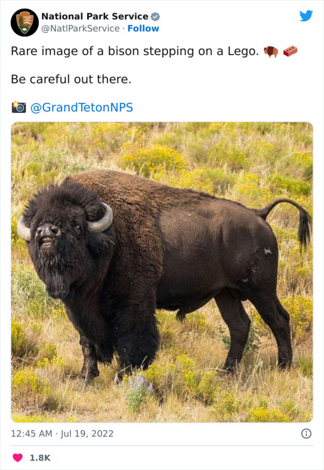 20 Hilarious Tweets From The Viral National Park Service Twitter ...